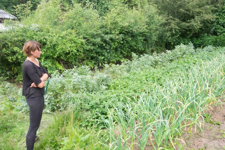 Our Members: Purple Patch - Bristol Food Producers